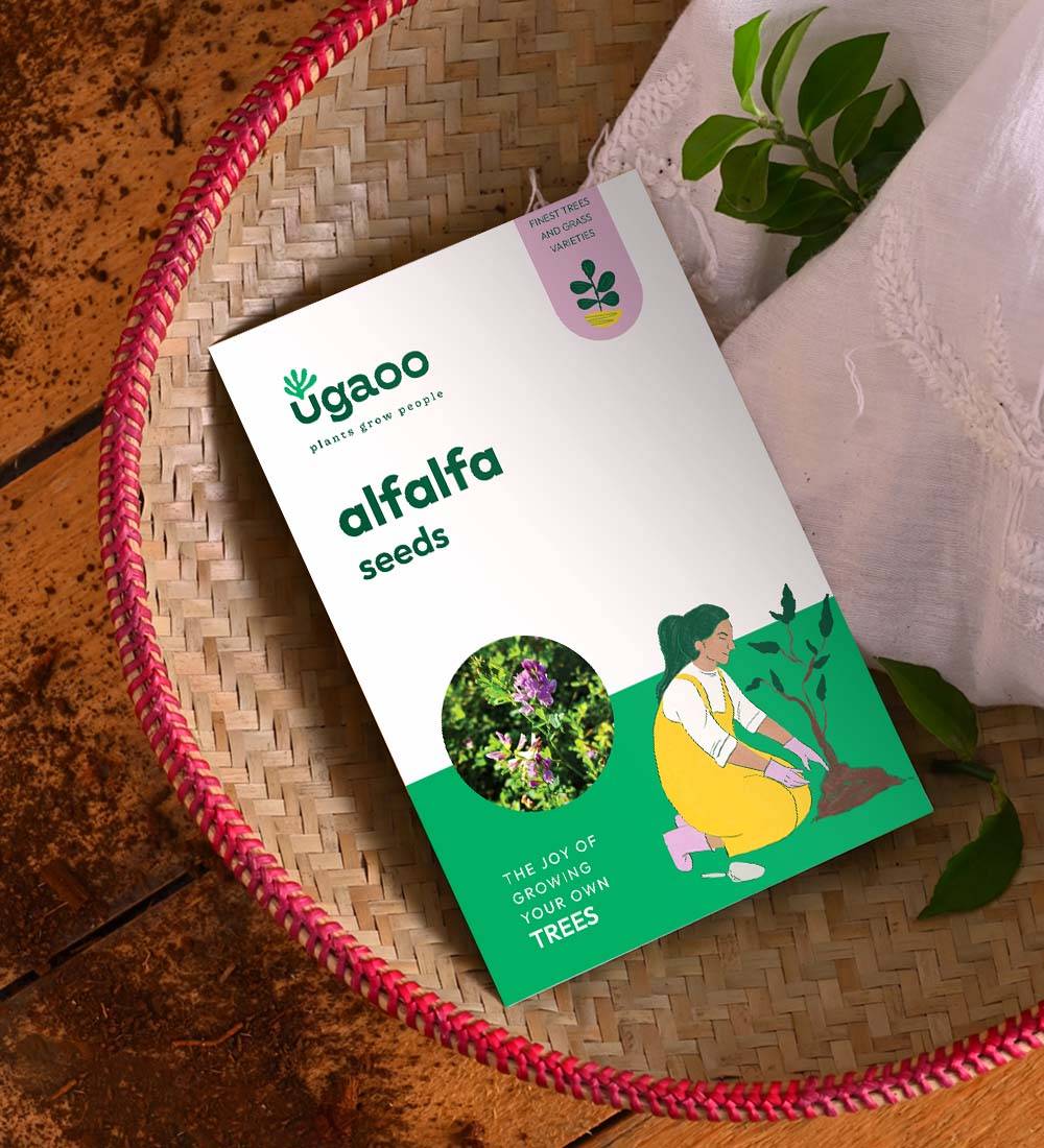 Buy Alfalfa Seeds (Lucerne Grass) in Seeds | Best Gardening on Plumint