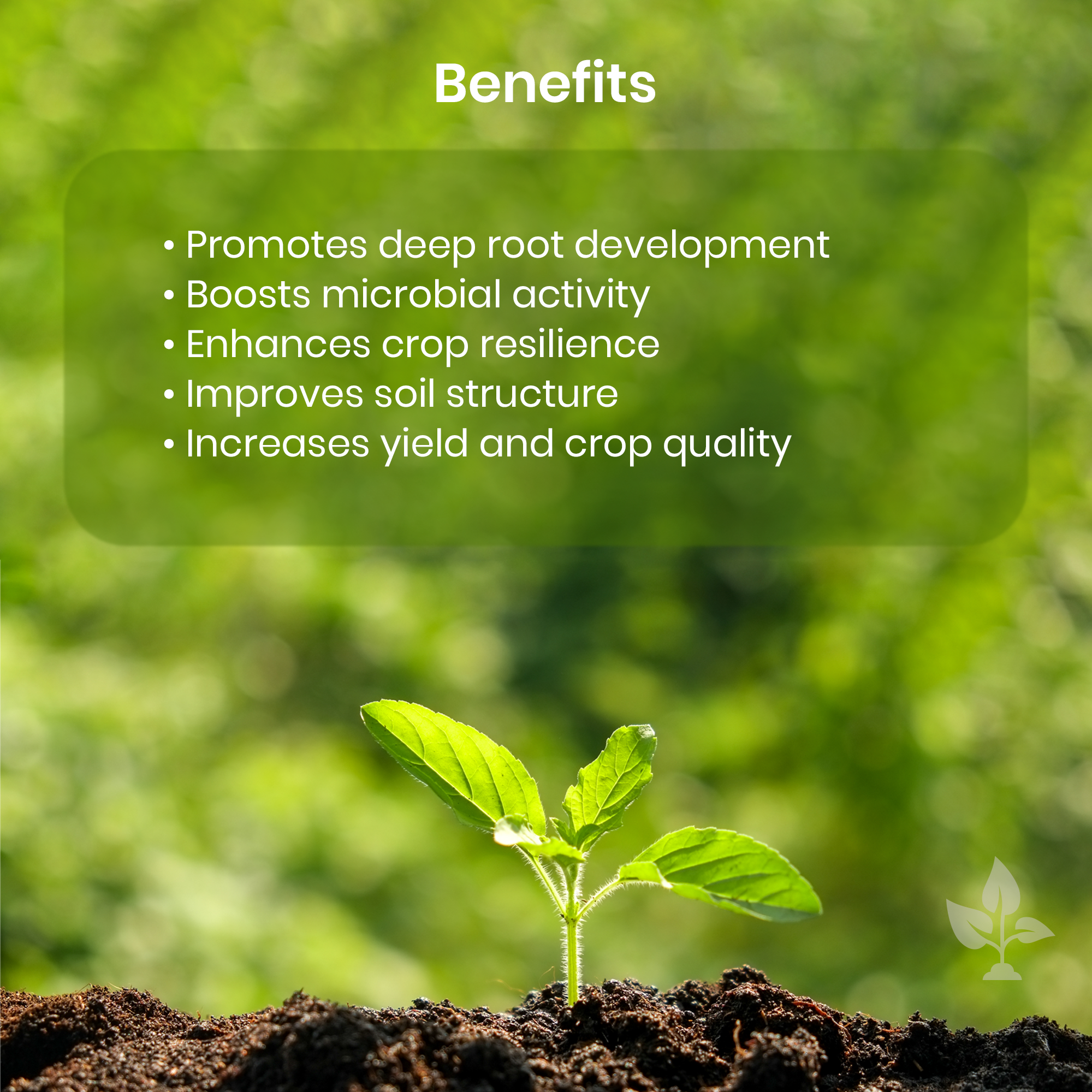 Buy Bio-Hum-Rich – Organic Humic Fertilizer for Soil Enrichment in Soil ...