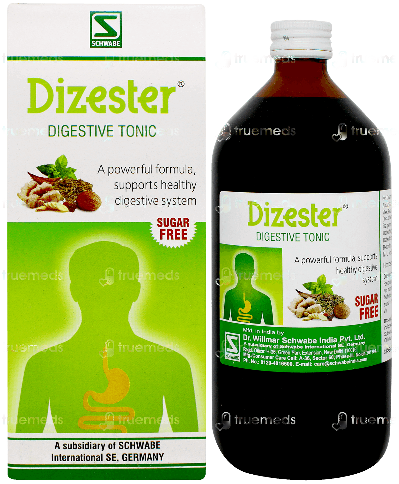 Buy Dr Willmar Schwabe Dizester Digestive Sugar Free Tonic 500ml in ...