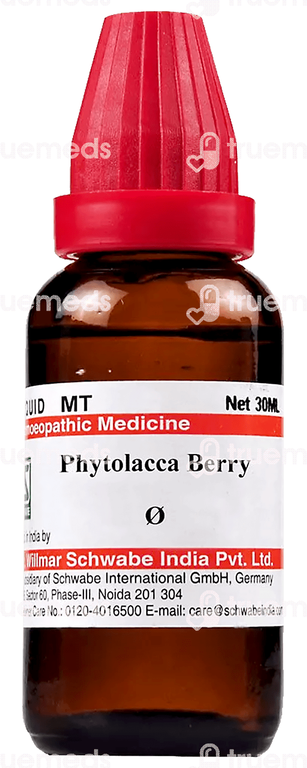 Buy Dr Willmar Schwabe Phytolacca Berry Q Mother Tincture 30ml in ...