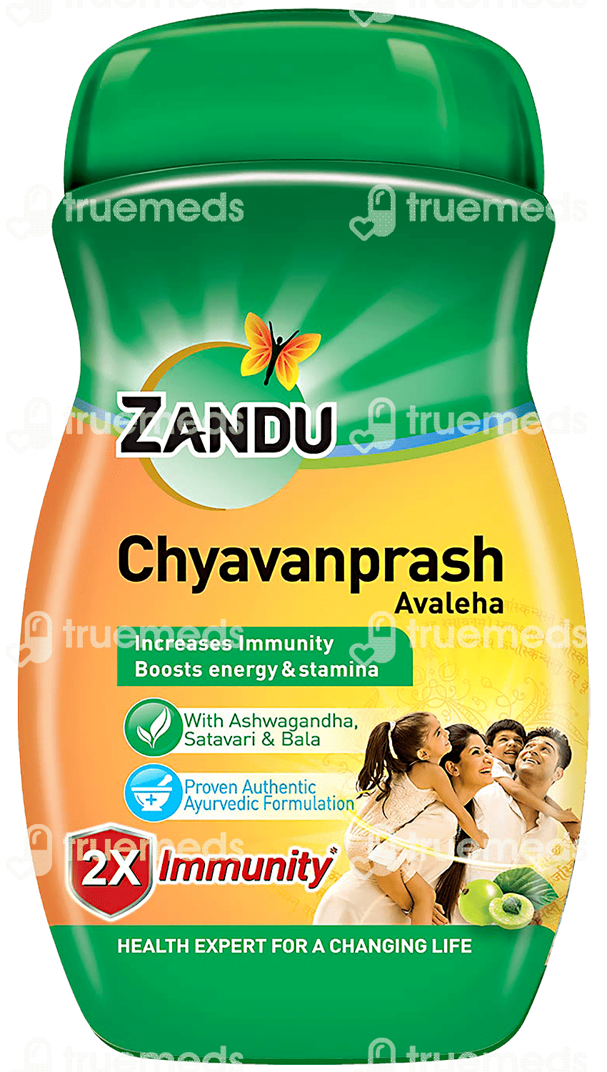 Buy Zandu Chyavanprash Avaleha 900gm in Medicines | Best Health ...